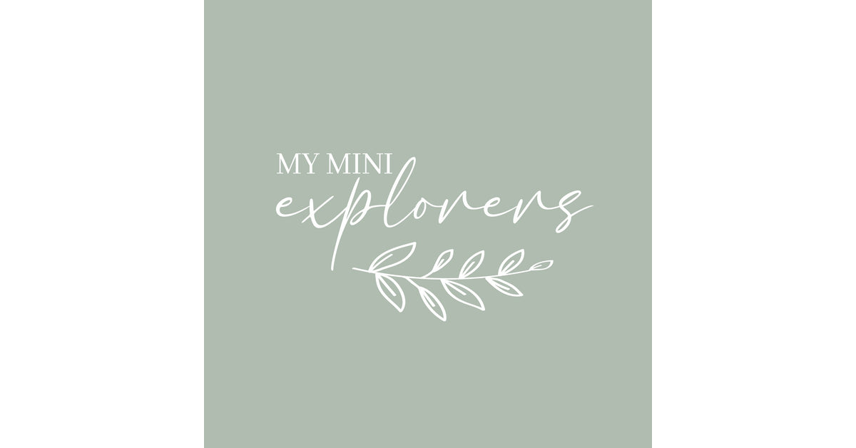 my mini explorers